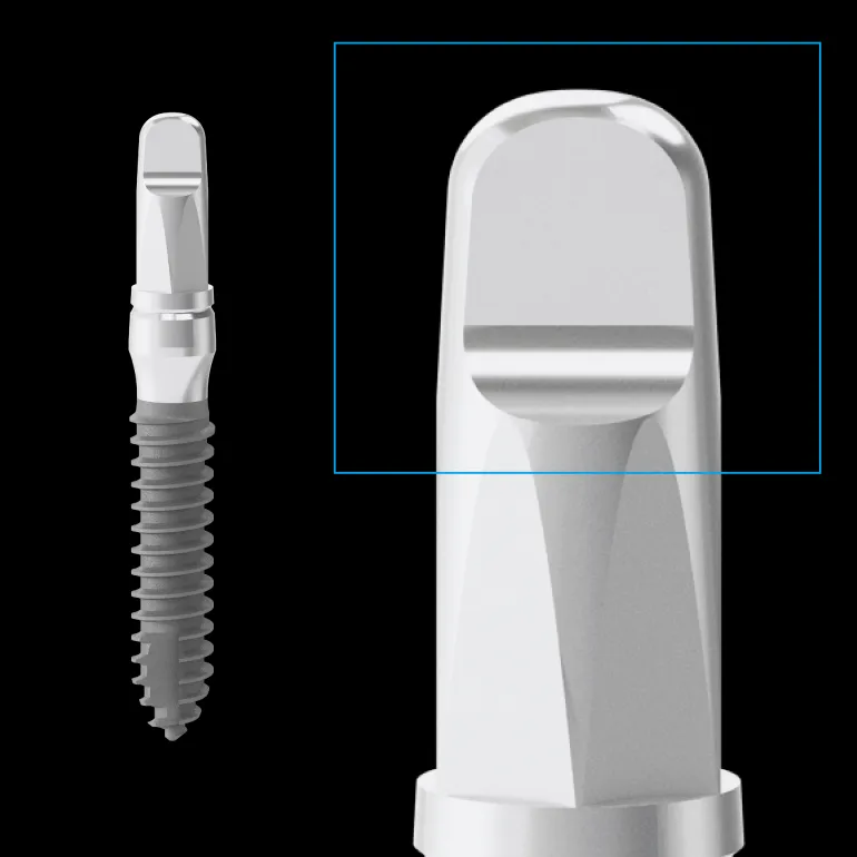 double connection post